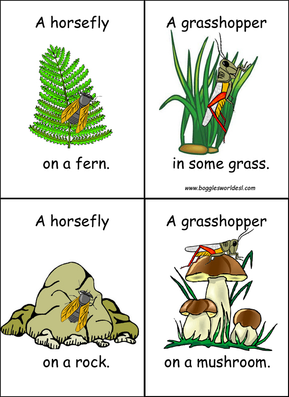 INSECTS CARD GAME