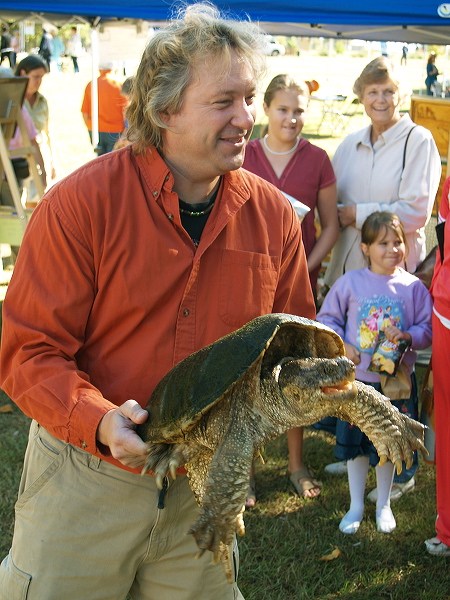 ALLIGATOR SNAPPING TURTLE