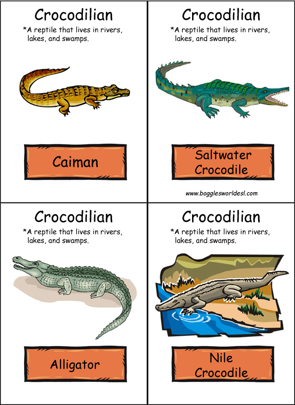 REPTILE CARD GAME